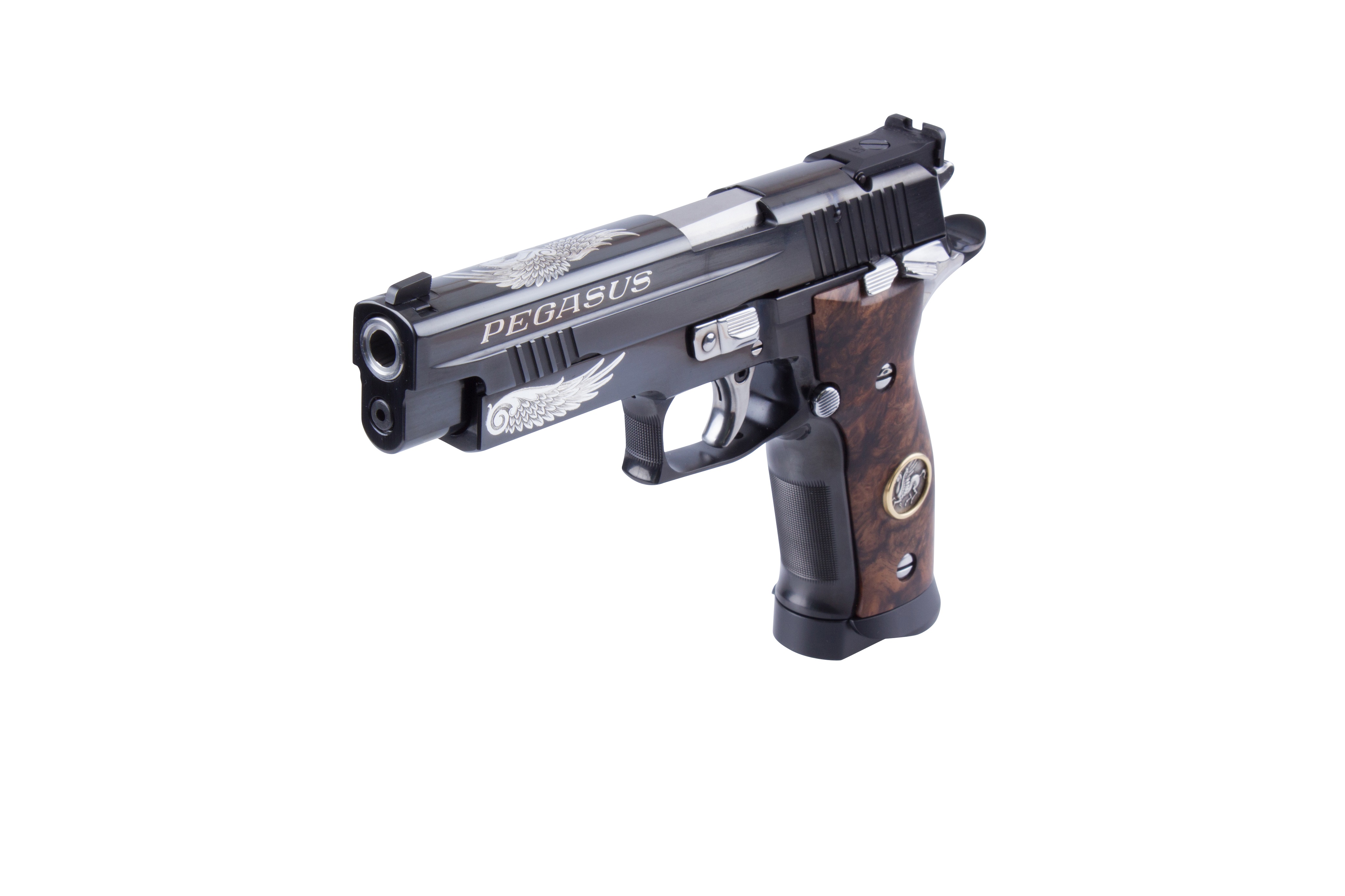 Dream Sig Pistol | SIG Talk