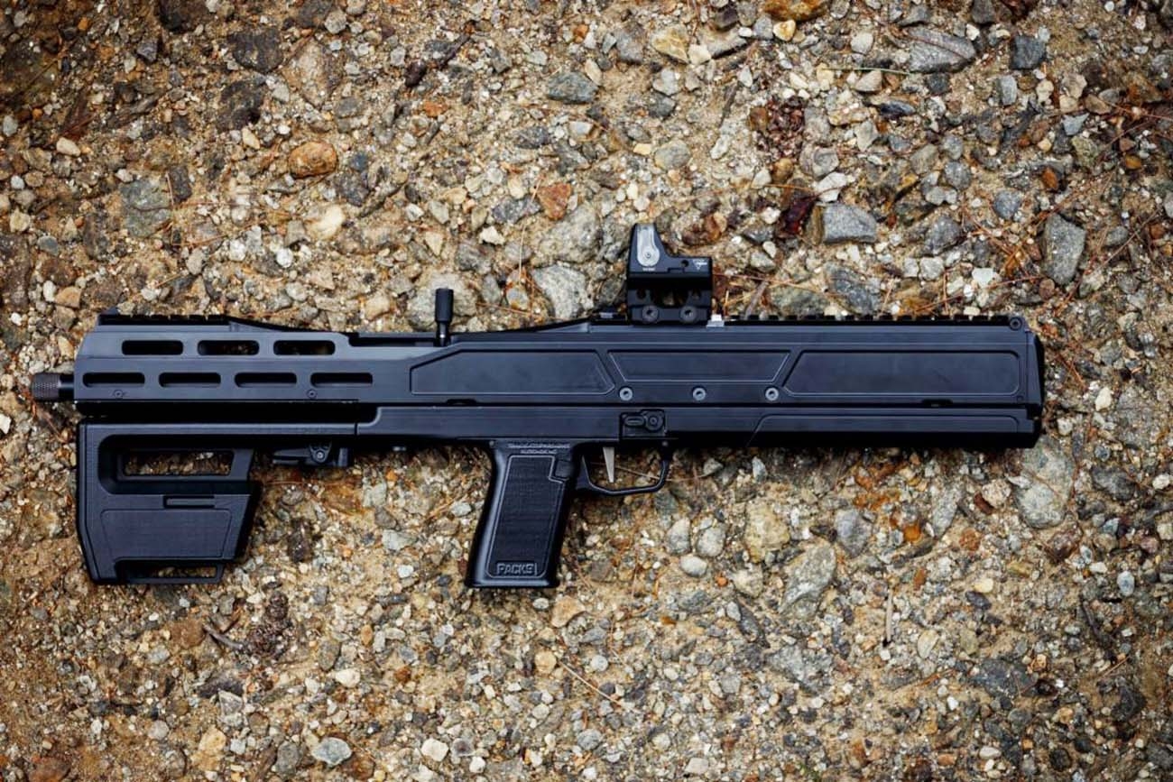 Folding Survival Rifle